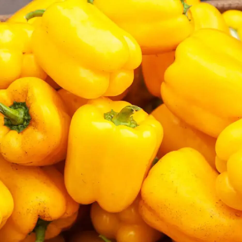 Acasa - Magazin online cu fructe si legume de vanzare - Legufruct.ro